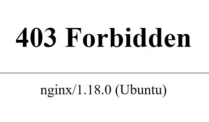 Nginx 403 error forbidden: directory index of [folder] is forbidden